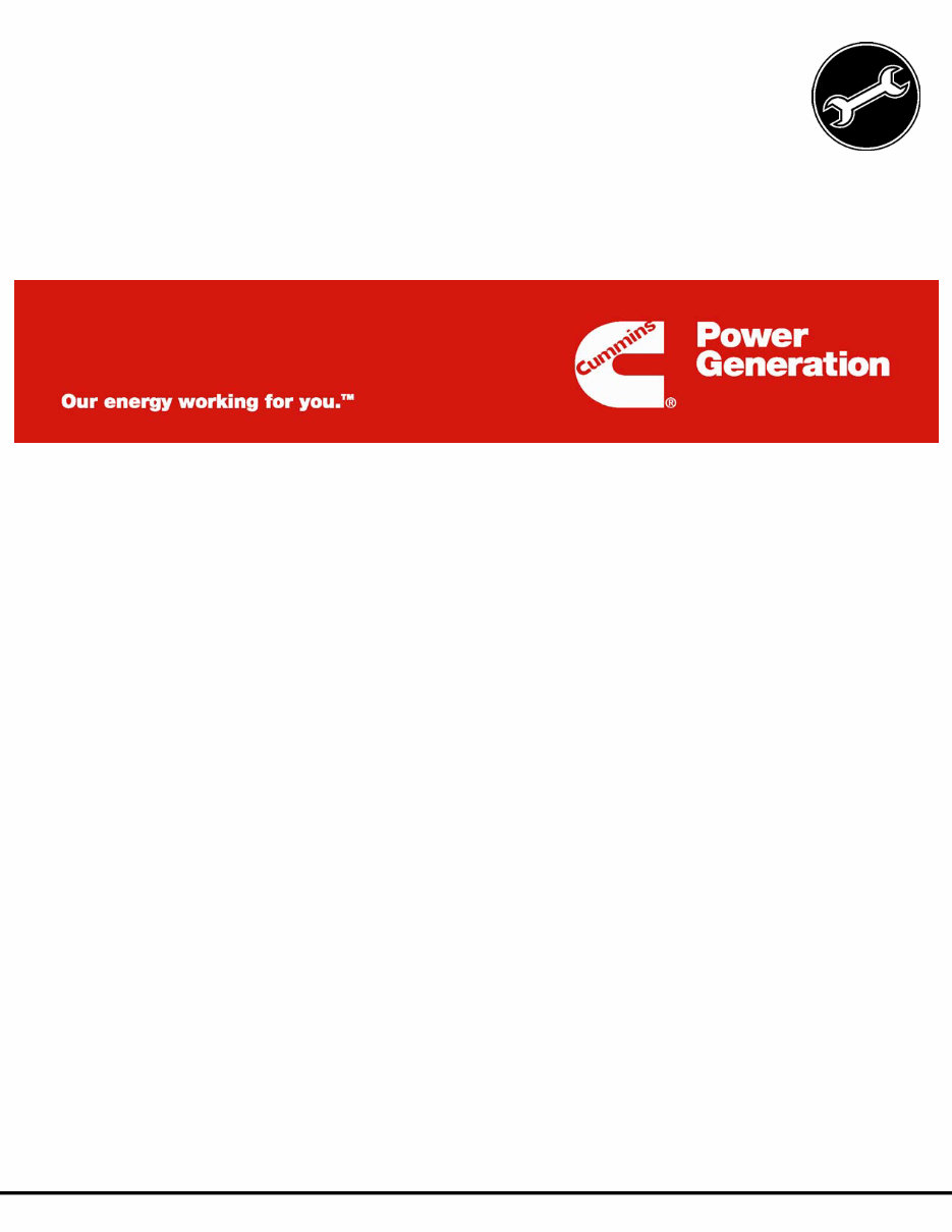 CUMMINS C33D5 C38D5 C30D6 C35D6 Generator Service Manual | eManualOnline